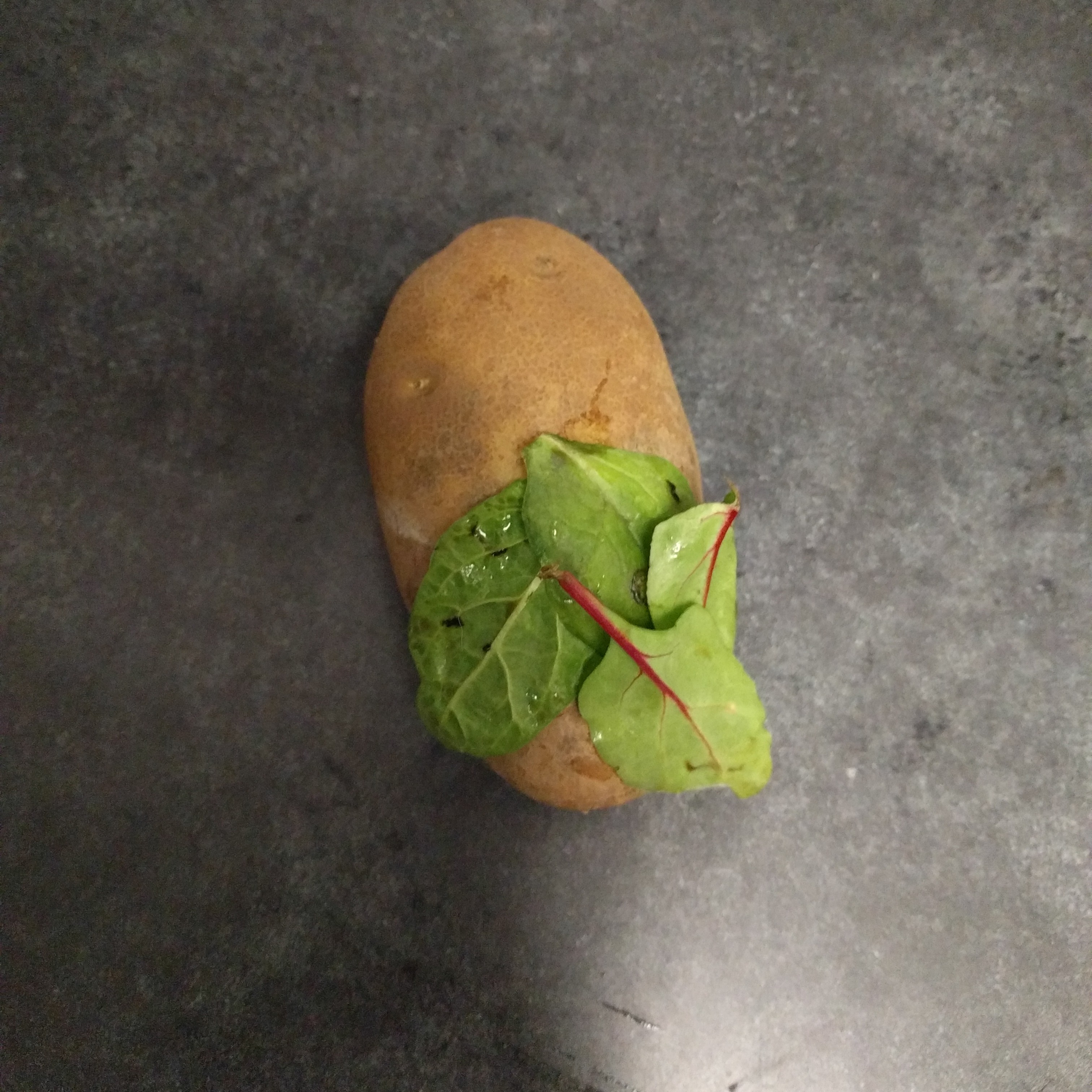 Disney Princesses Reimagined As A Potato Is The Trend You Never Knew ...